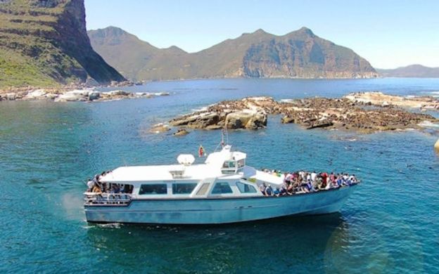 Duiker Island: Seal Sightseeing Cruise